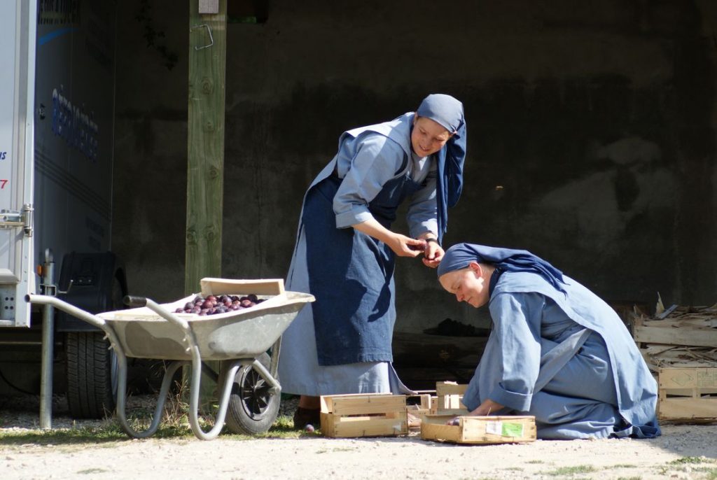 The little sisters of the LambMissionaries of the Holy Face and ...